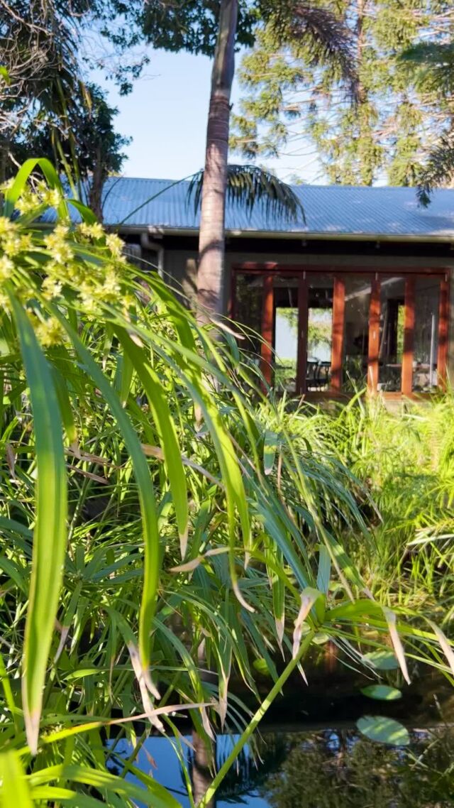 Gallery - The Tamarind